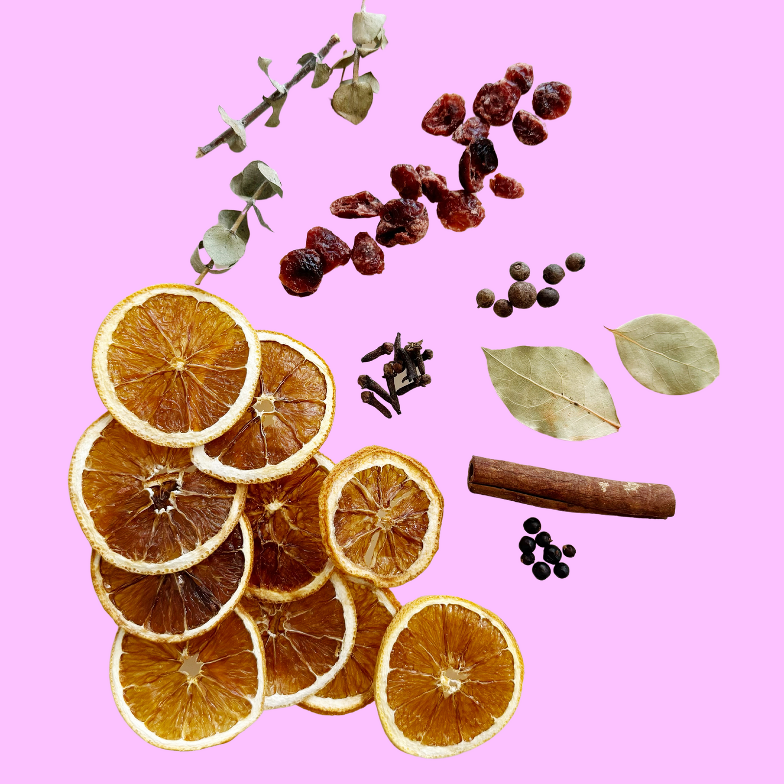 Simmer Pot Spells | HausWitch Home + Healing | Salem, MA